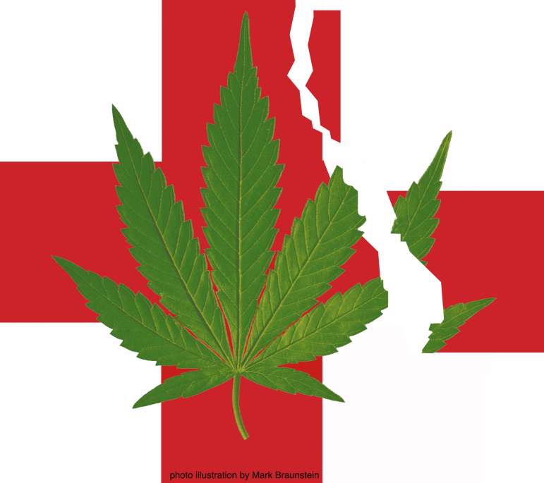 Medical Marijuana in Connecticut is Broken. | CT Mirror