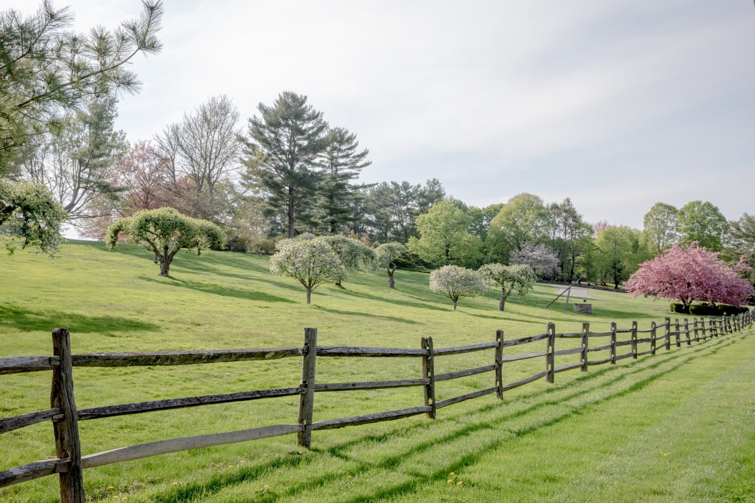 New Canaan considerará proyecto de vivienda asequible pese a pausa