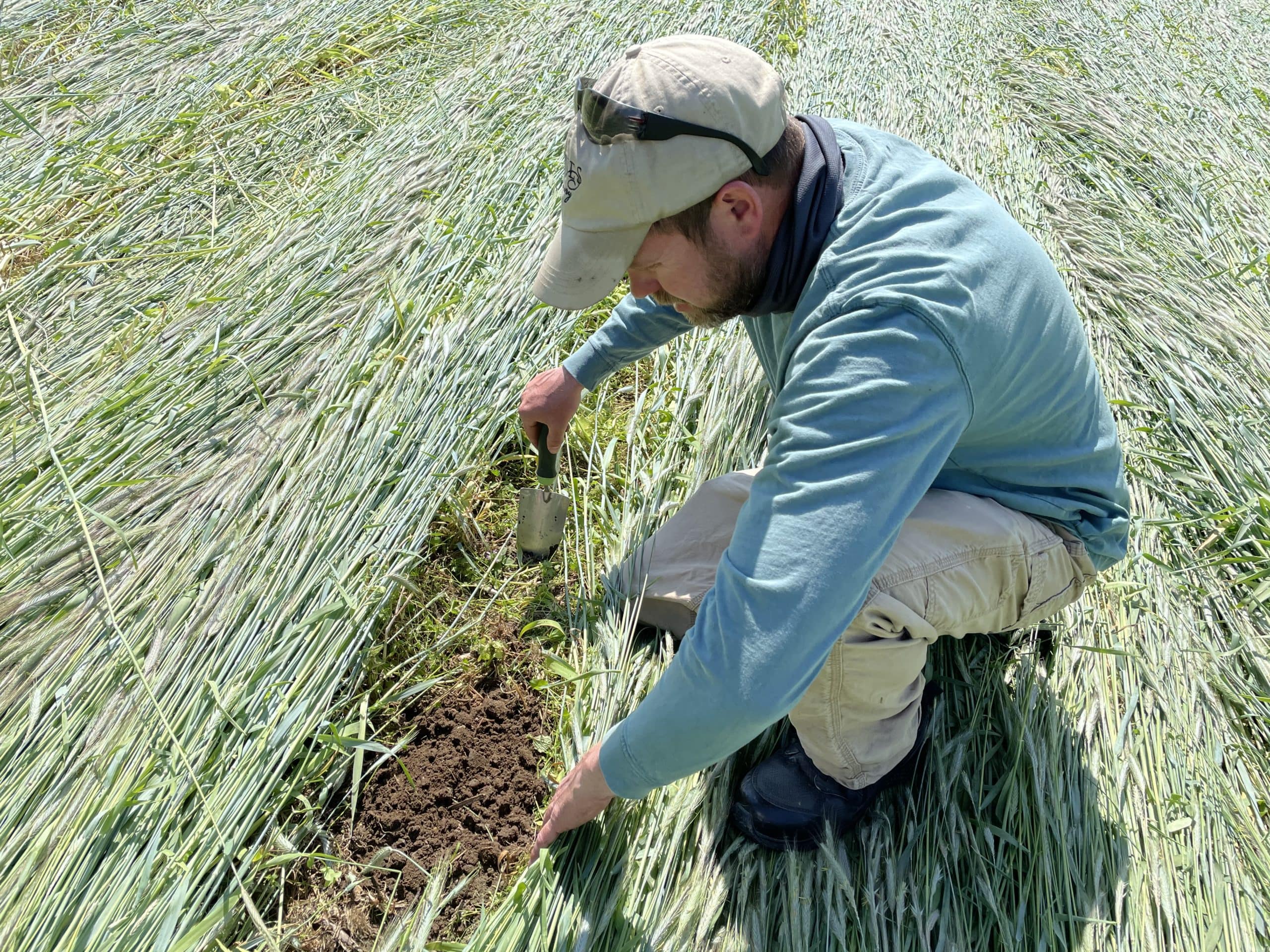 Jones rye 2 | CT Mirror