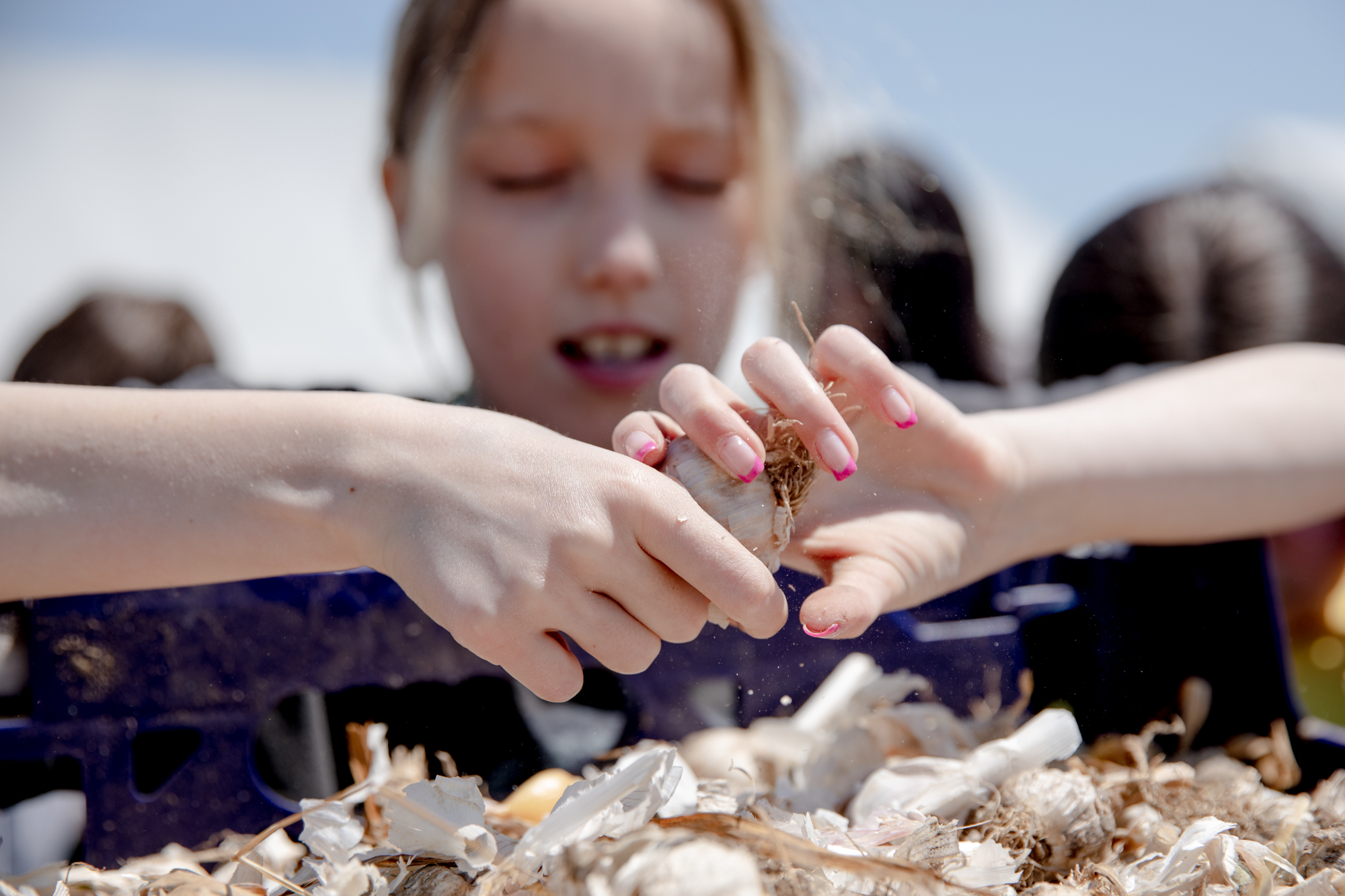 CT will expand Farm to School program to teach kids about food