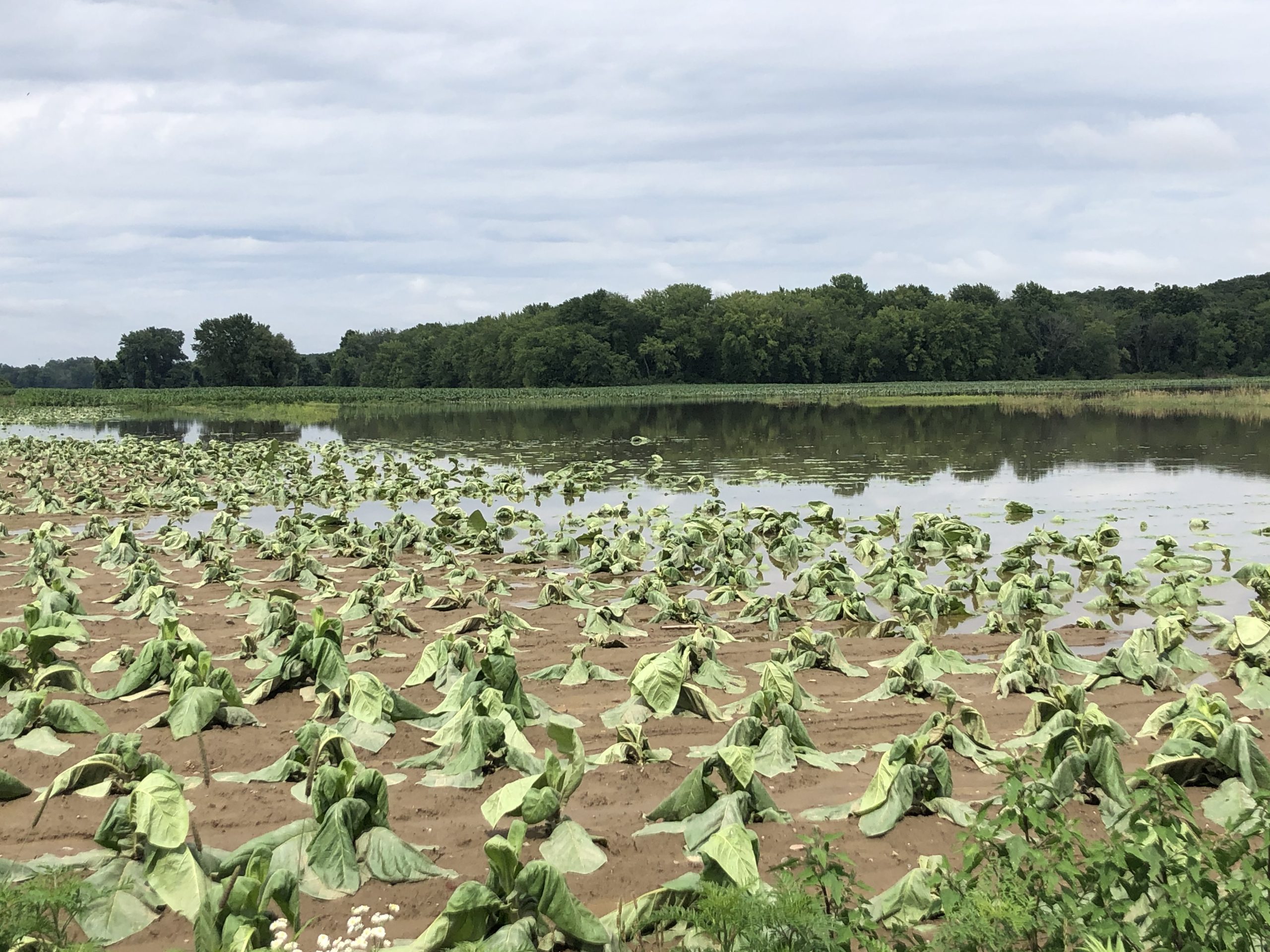 CT to secure farm relief, disaster aid in year-end spending bill