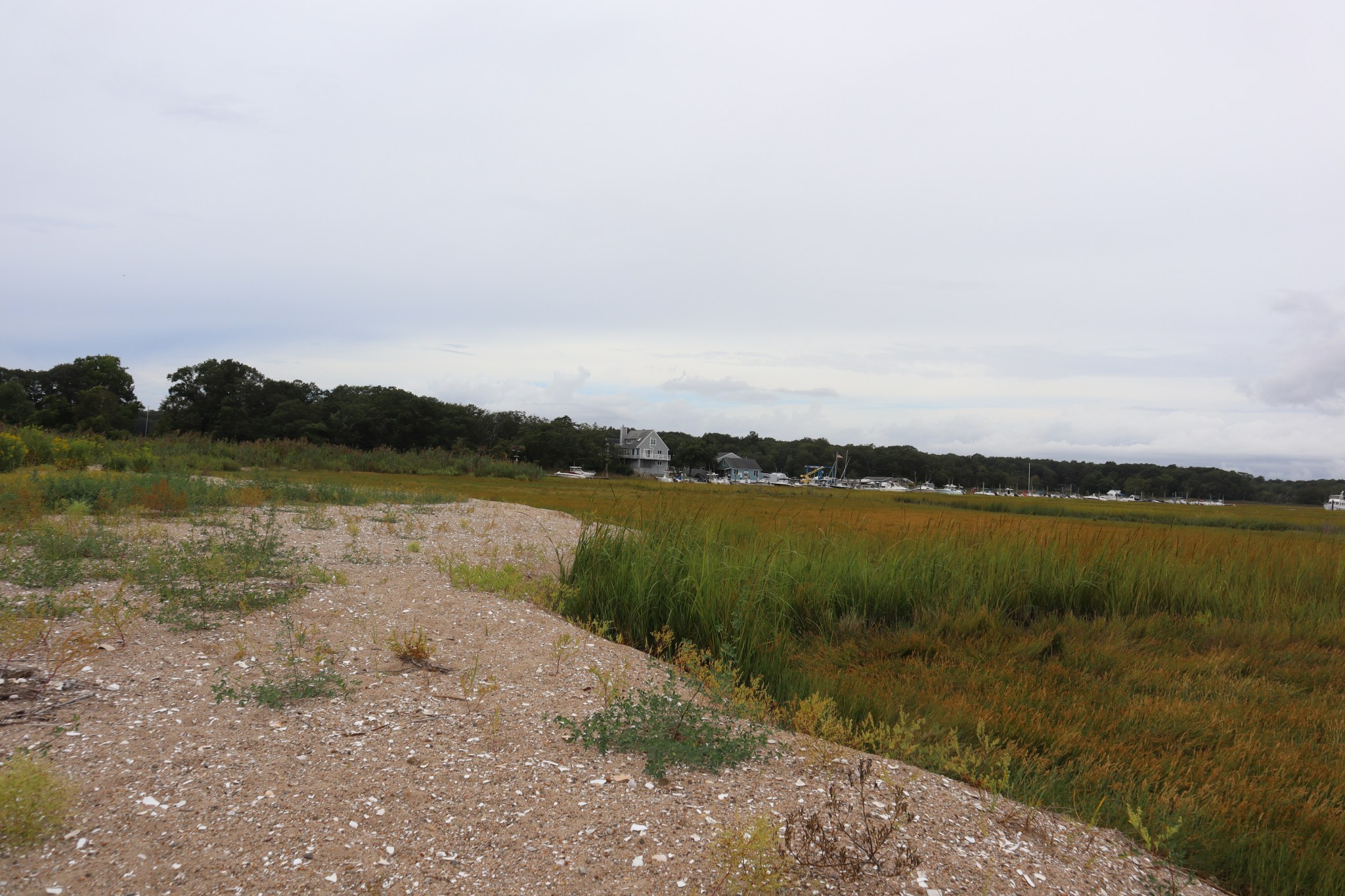 With CT shoreline flooding rising, officials turn to natural mitigation