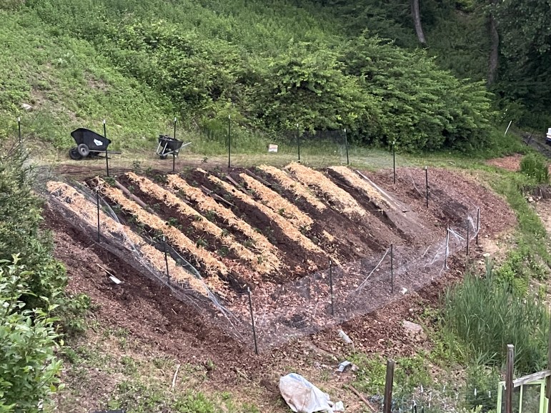 CT farmers face federal funding uncertainty