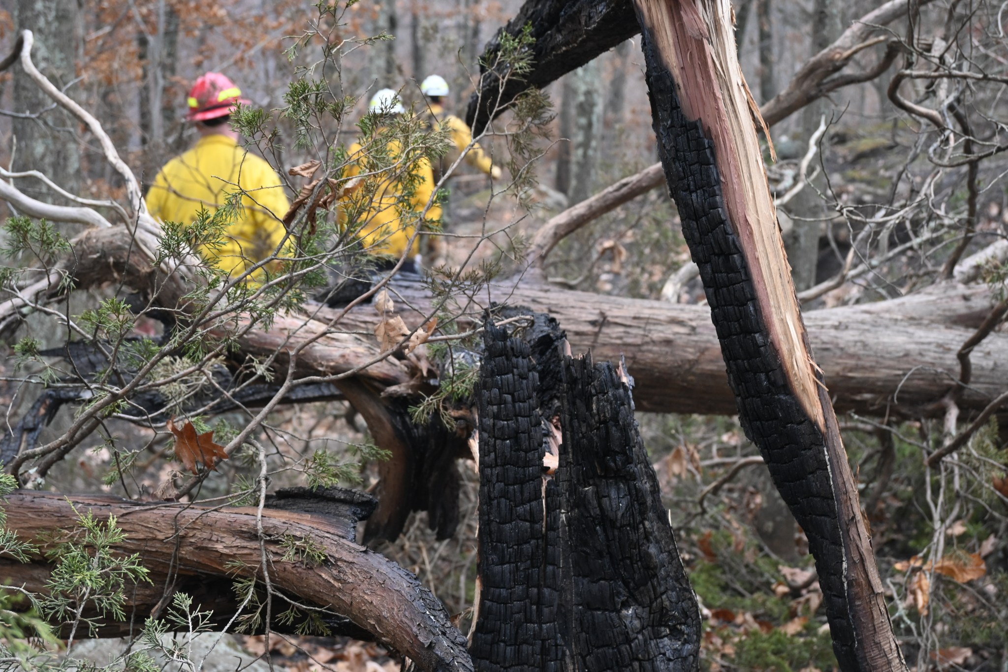 Why Trump's cuts to NOAA, FEMA could force CT to fend for itself