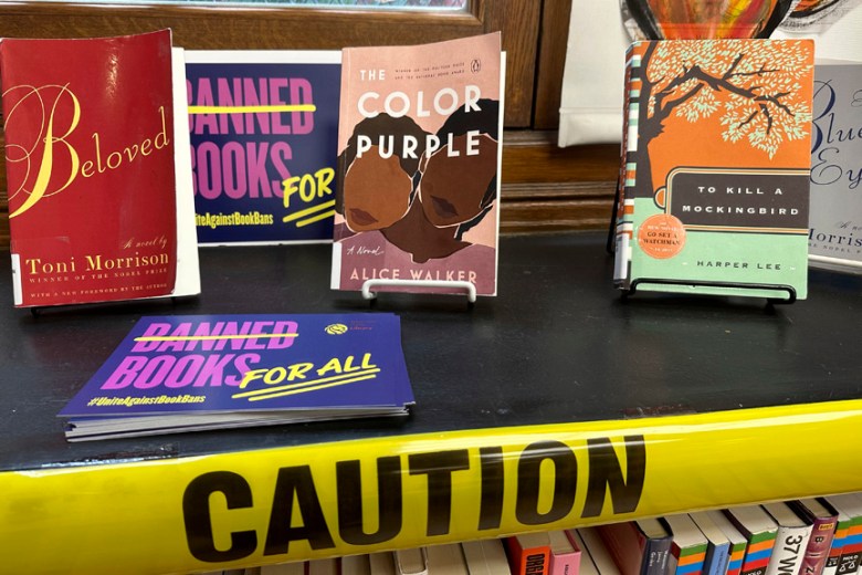Banning books dissolves democracy