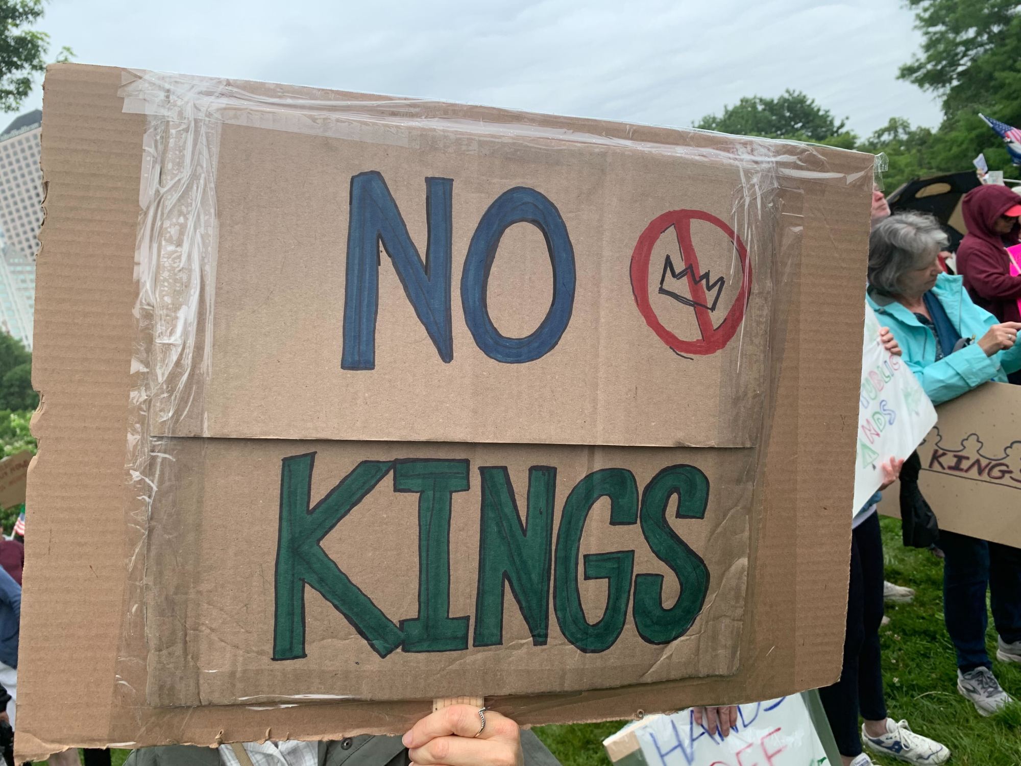 Opinion: Take action now to save our democracy