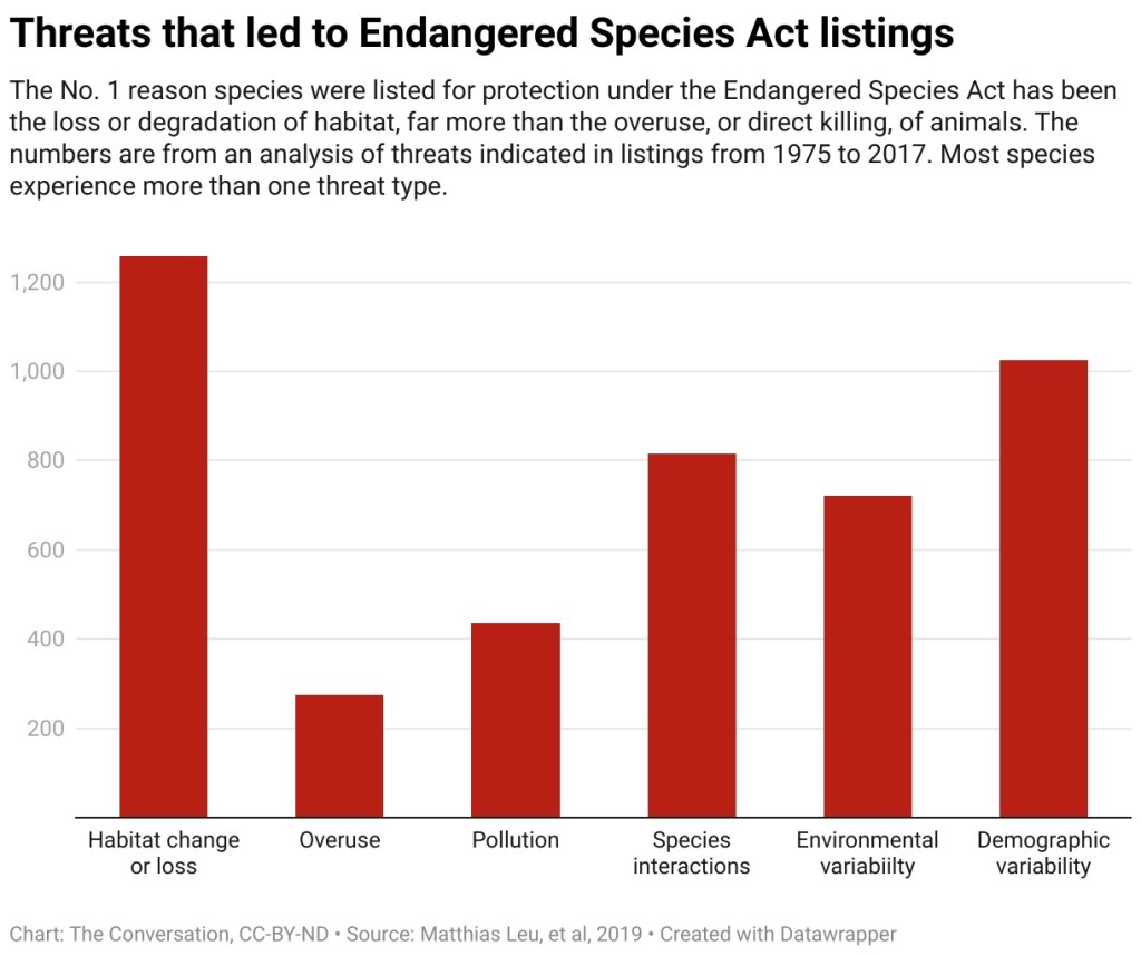 threats-that-led-to-endangered-species-act-listings | CT Mirror