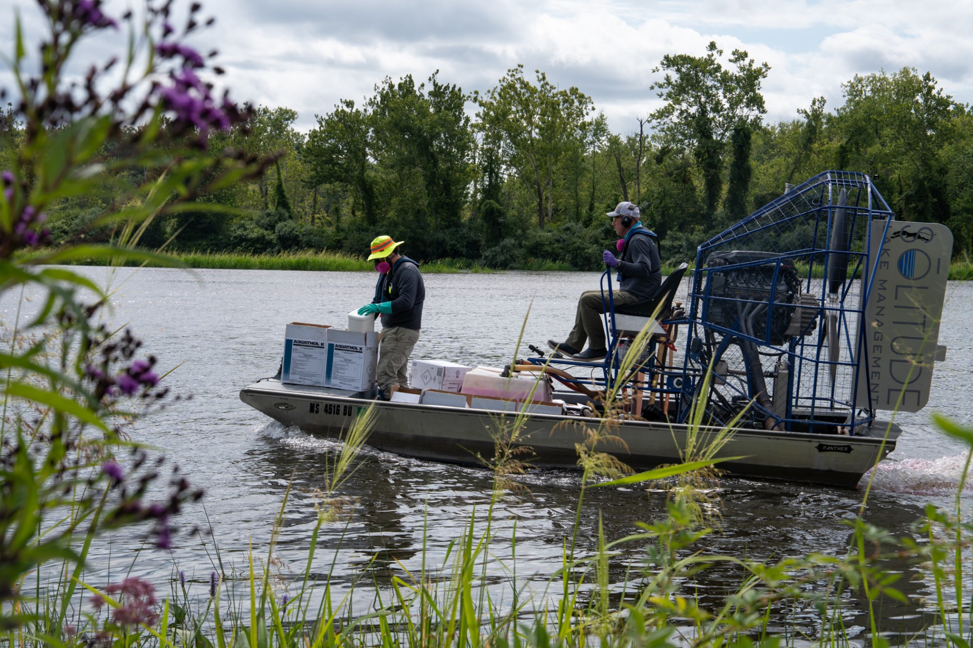Using diquat, other herbicides, officials cite progress on CT hydrilla
