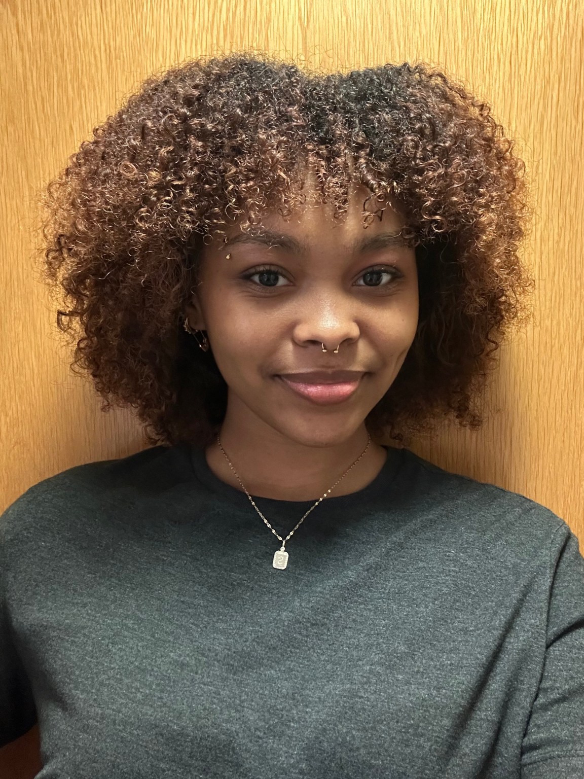 Opinion: Rename New Britain's Manafort Drive to Bassett Drive