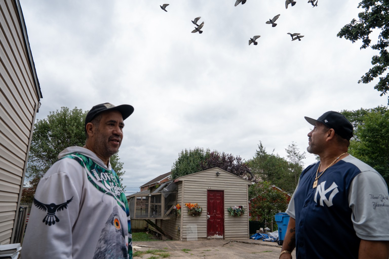 For this New Britain man, late summer is pigeon racing season