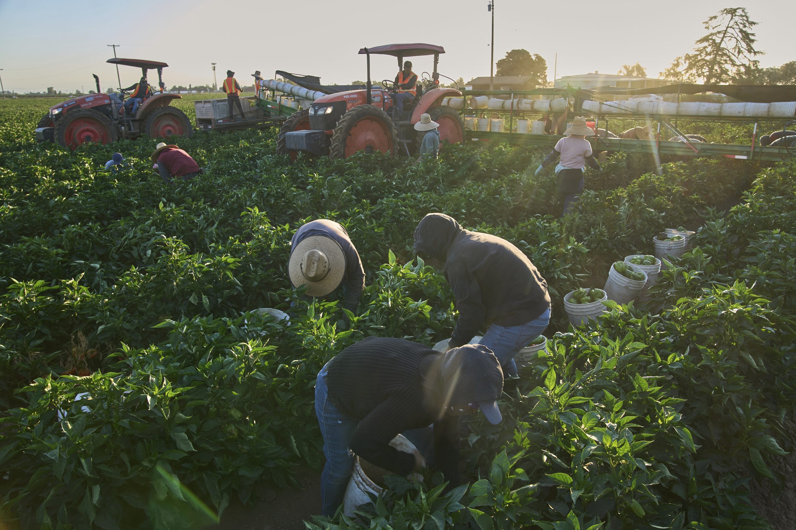 1.2M immigrants are gone from the US labor force under Trump