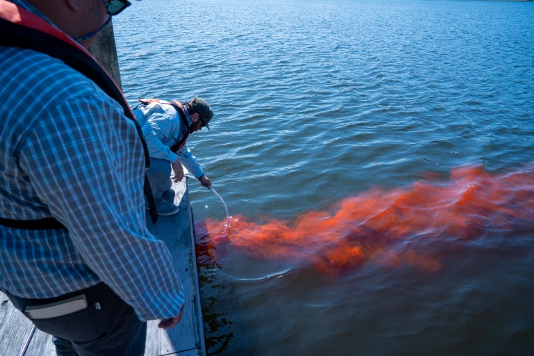 Using diquat, other herbicides, officials cite progress on CT hydrilla