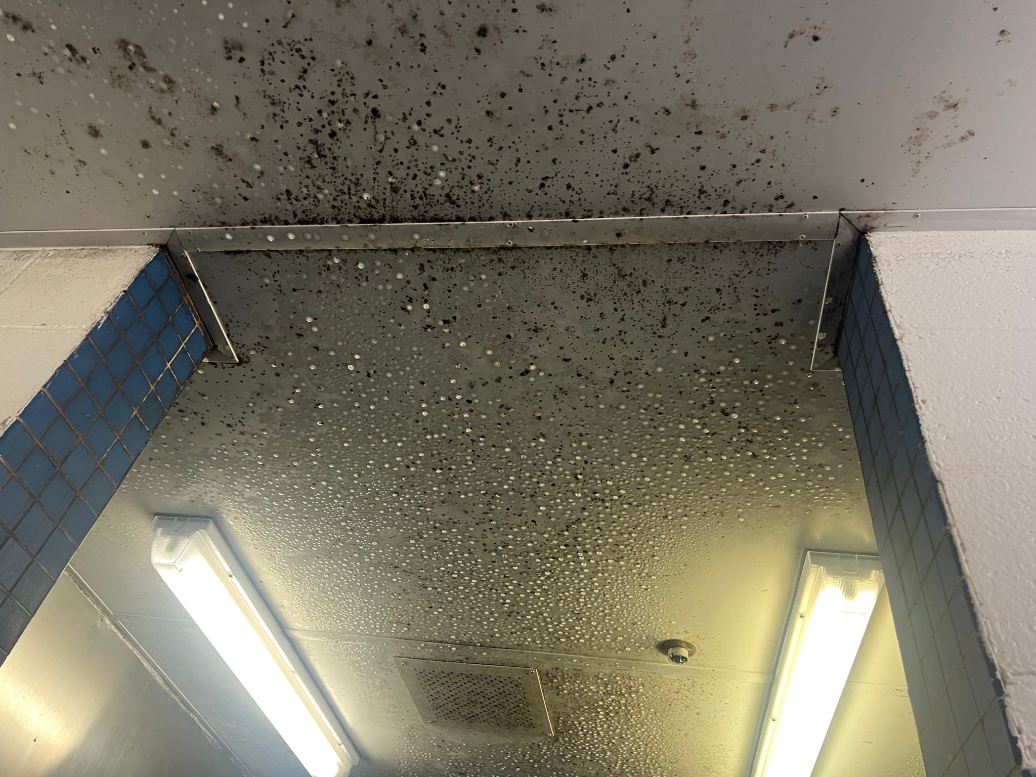 Correction ombuds details 'institutional failure' in CT prisons report